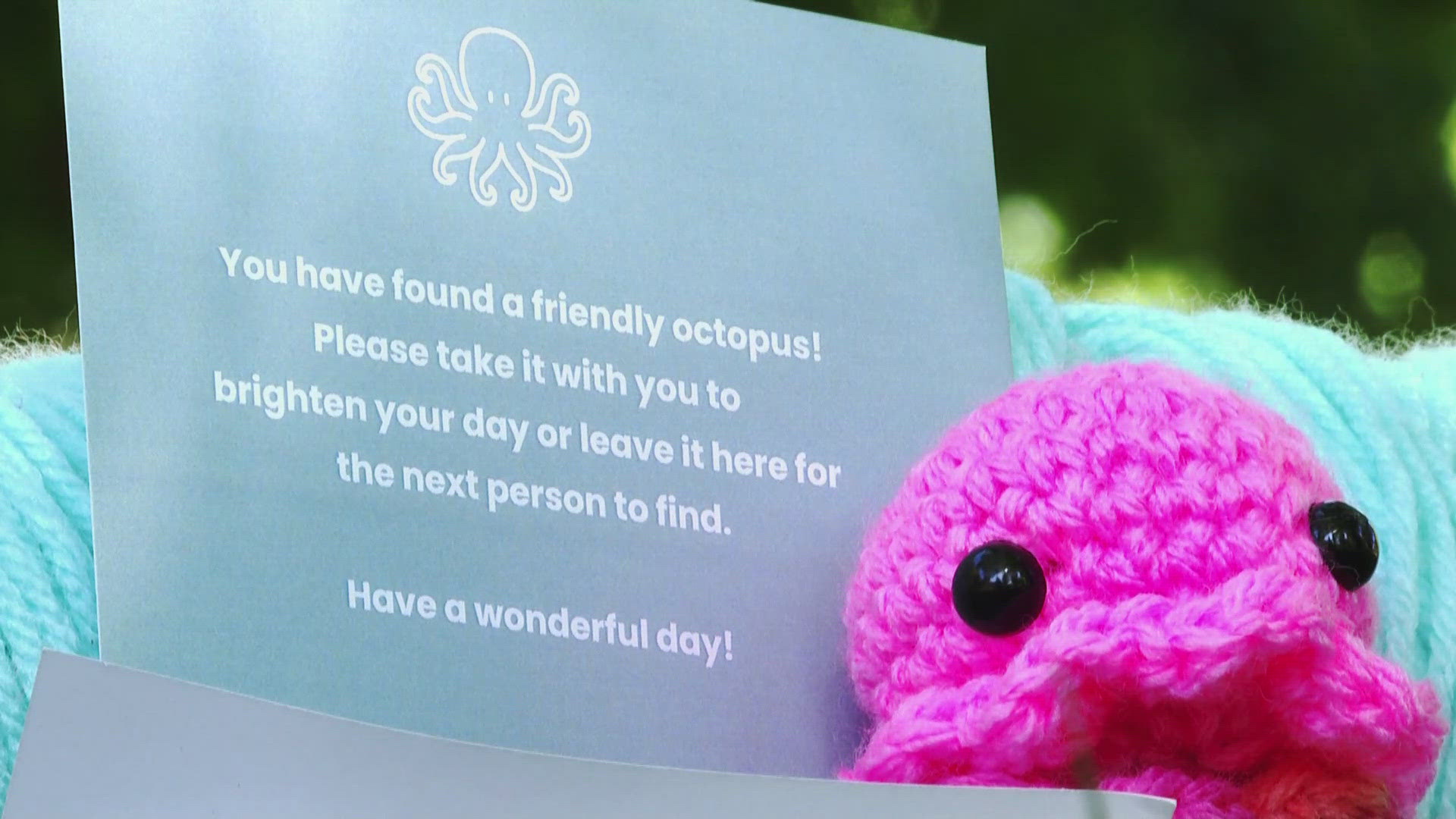 Thousands of crochet octopi have been hidden at Colorado State ...