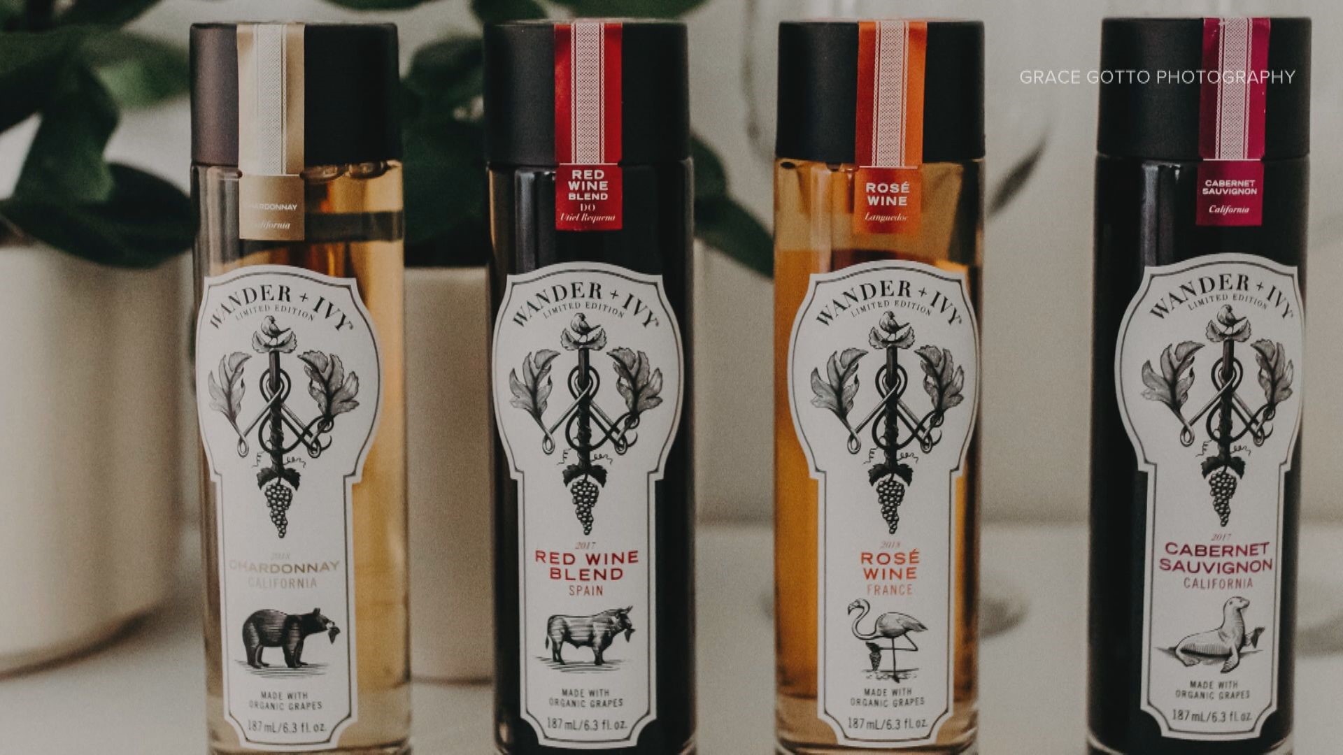 Wander and Ivy in Denver offers single-serve bottles of wine | 9news.com