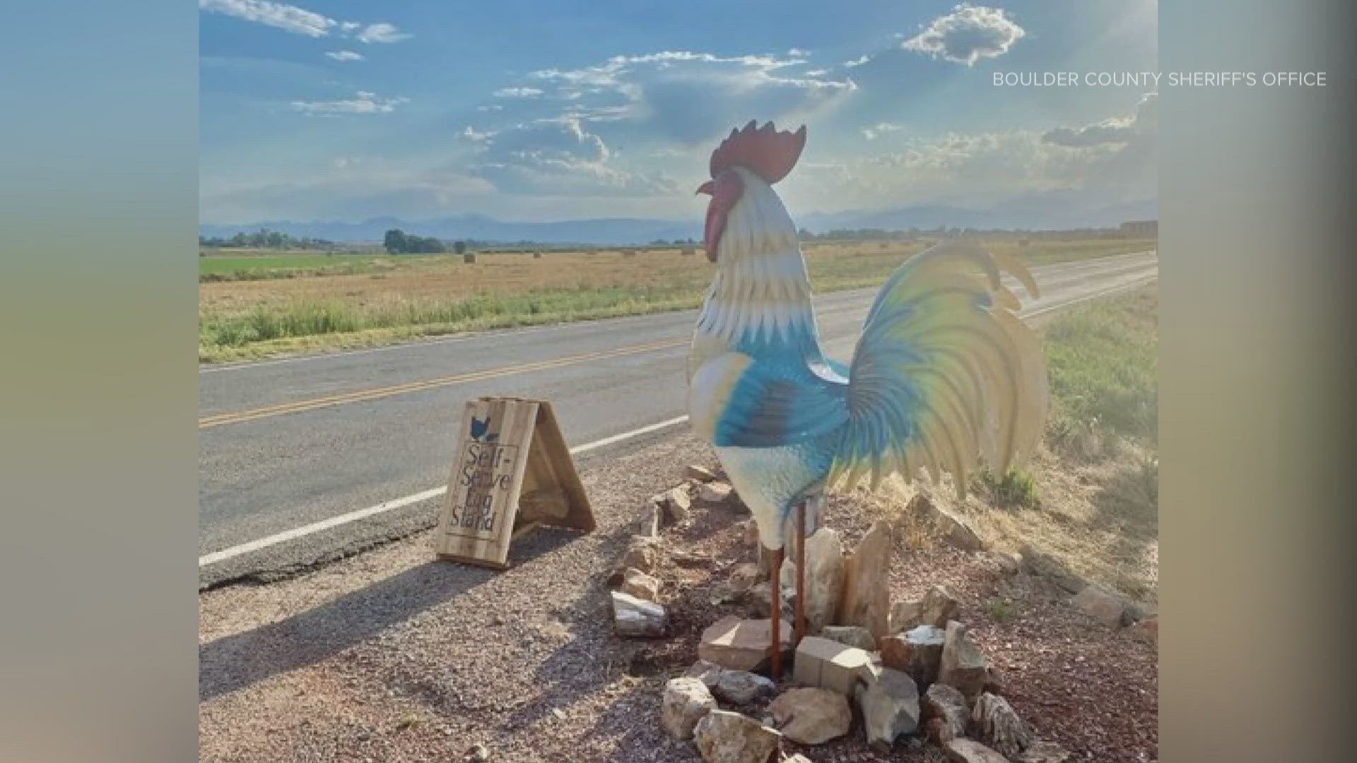6-foot-tall metal rooster missing out of Boulder County | 9news.com