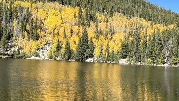 Fall leaves in Colorado: Guide to changing colors in 2024 | 9news.com
