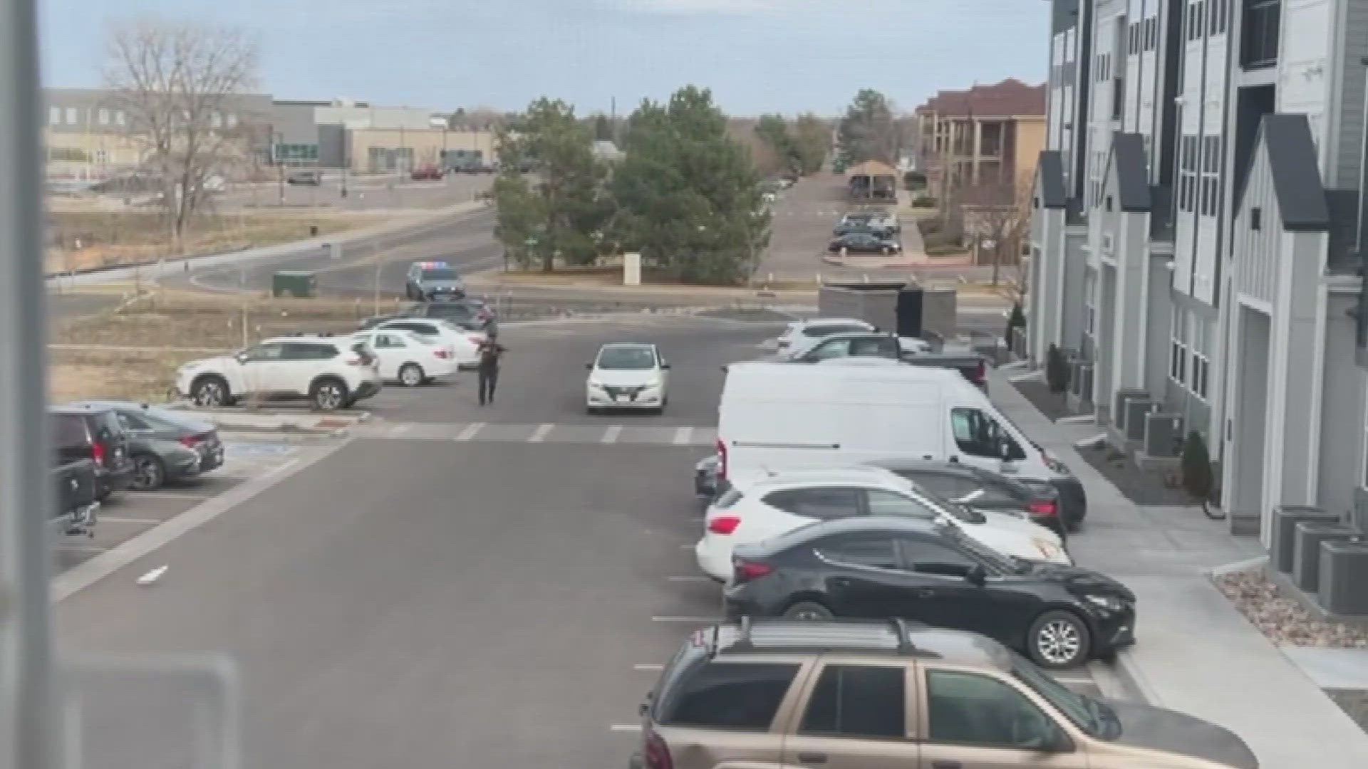 Woman killed in Greeley after reporting restraining order violation id ...