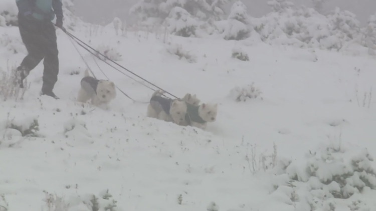 Colorado snow totals: How much fell from Nov. 5-9 | 9news.com