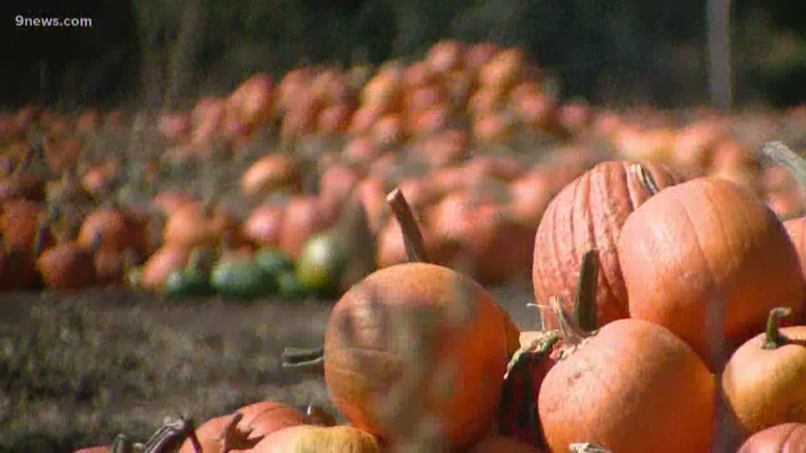 Here's why you should move the pumpkin from the porch to the kitchen ...
