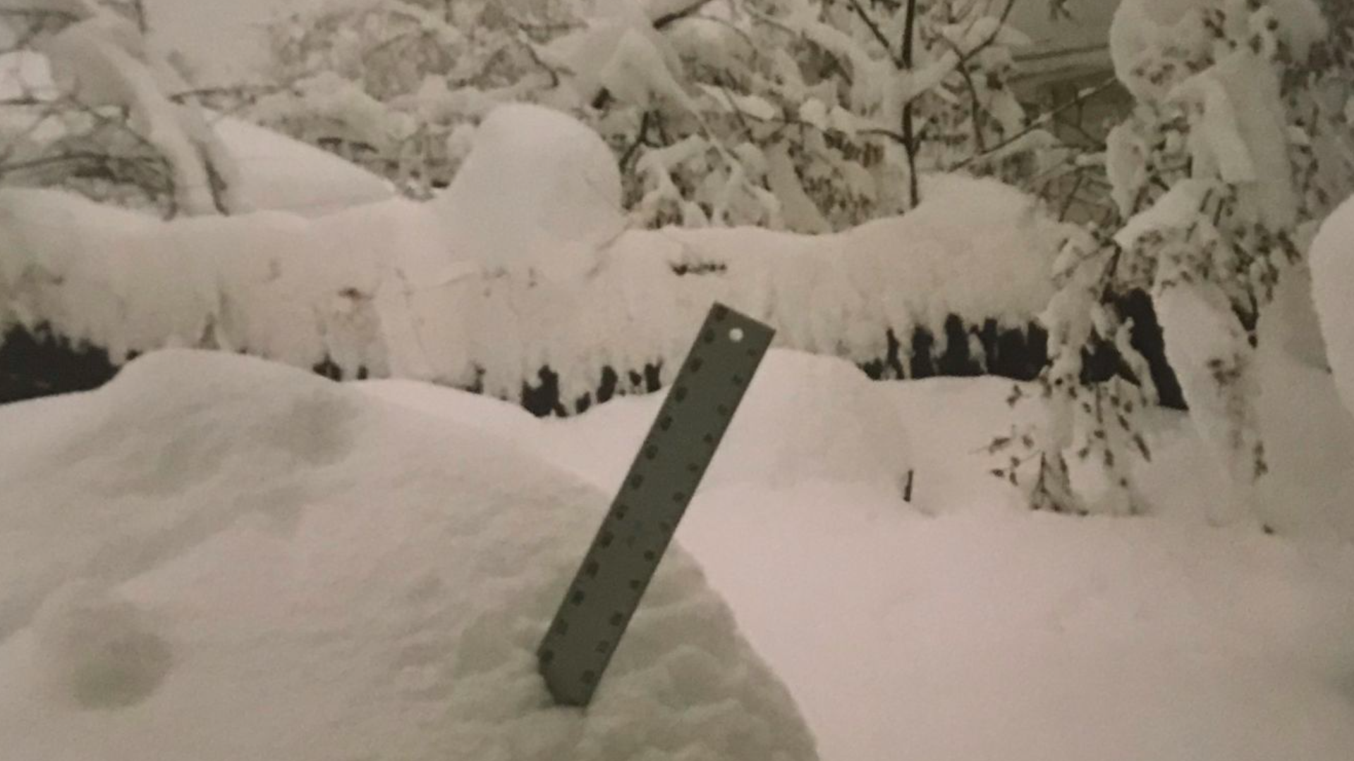 Remembering the March 2003 blizzard that dumped snow on Colorado ...
