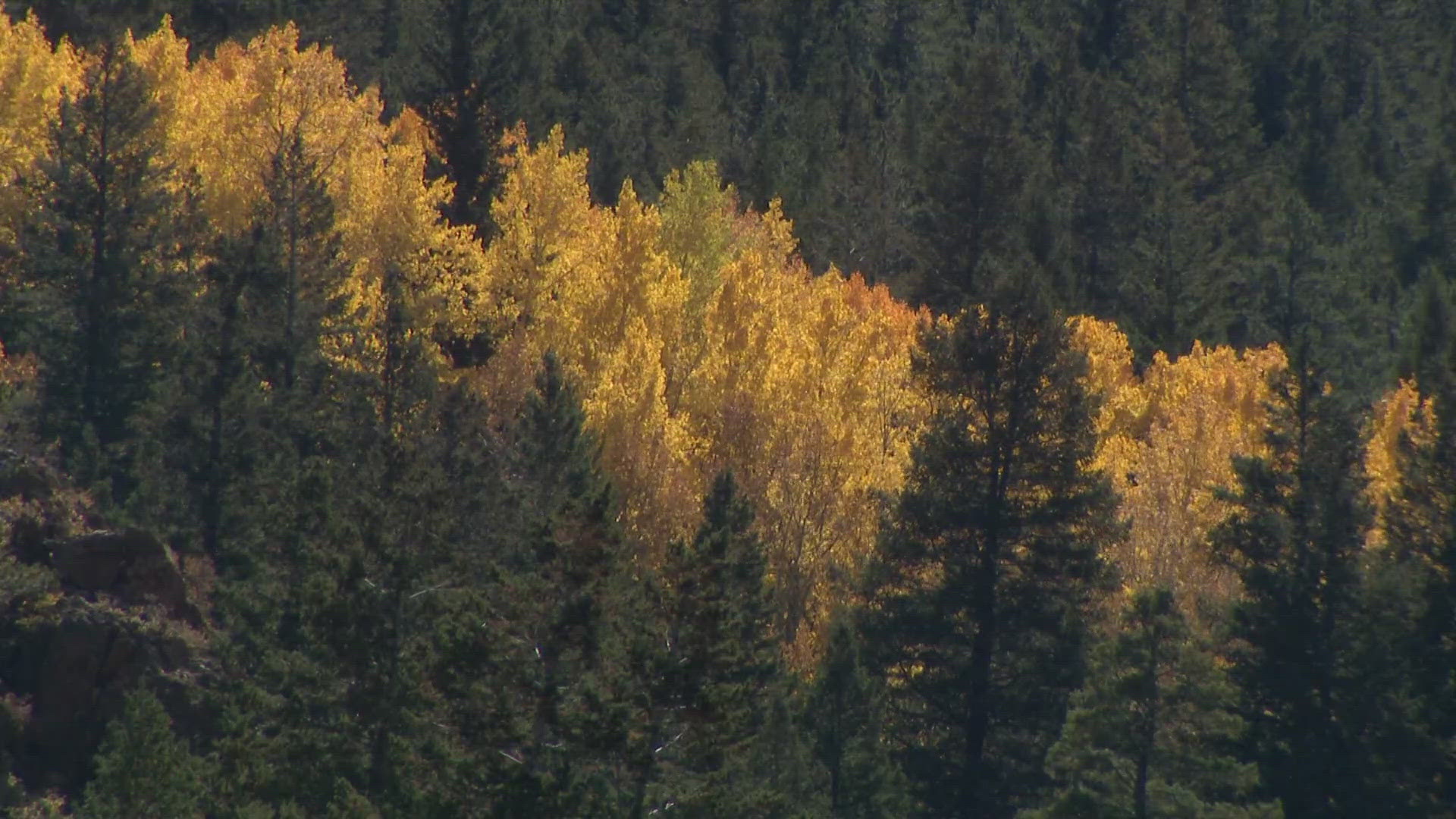 New Thornton Community Center, Anythink Library groundbreaking | 9news.com