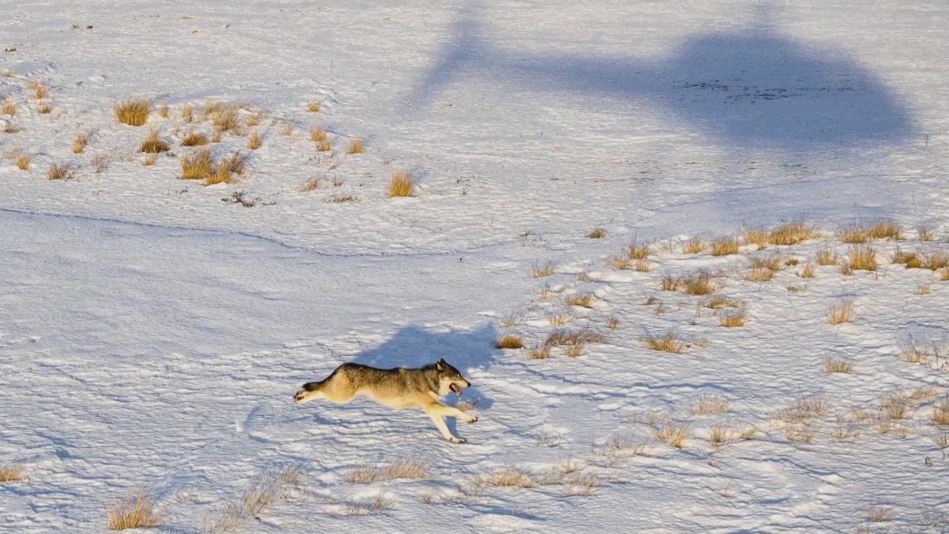 A look at some of the worst fires in bars, nightclubs and music venues ...