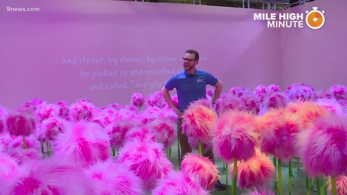 Take a journey through 9 Dr. Seuss books | 9news.com