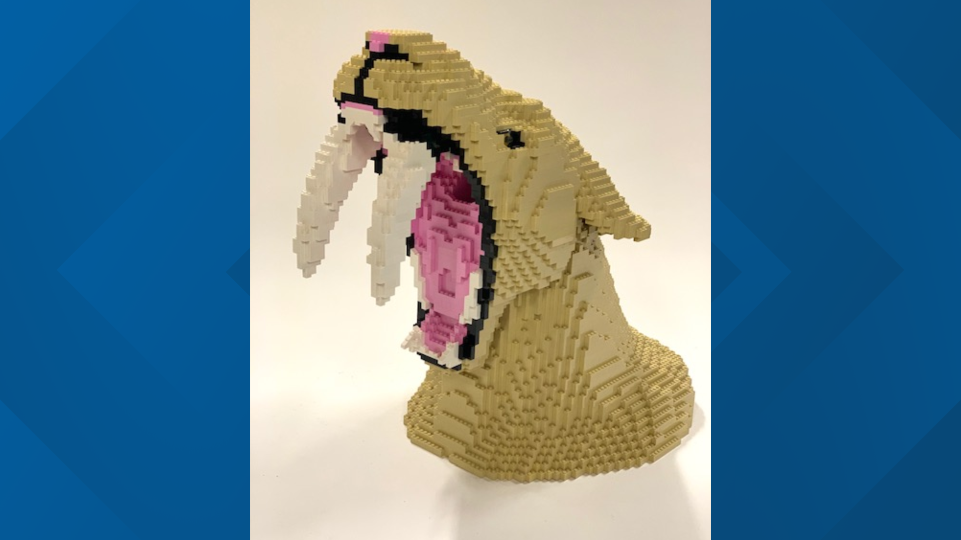 DMNS now open after coronavirus, hosting LEGO art exhibit | 9news.com