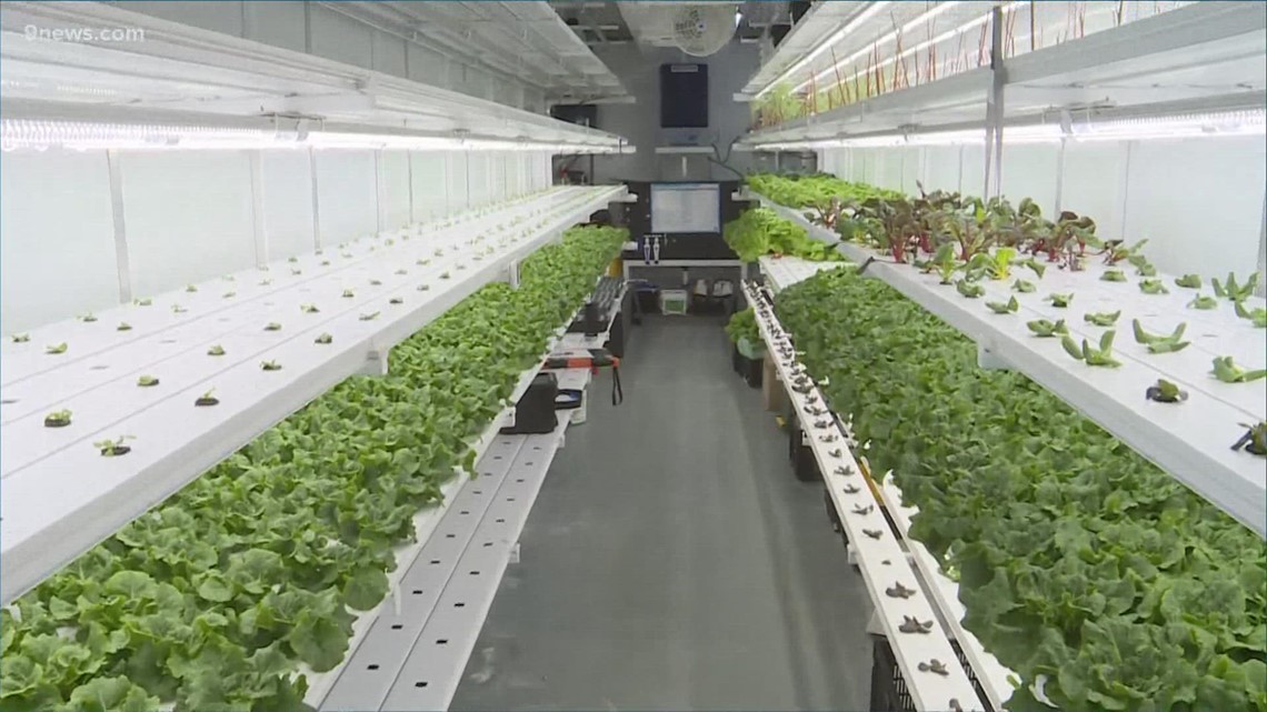 Colorado Springs zoo growing food in shipping containers | 9news.com