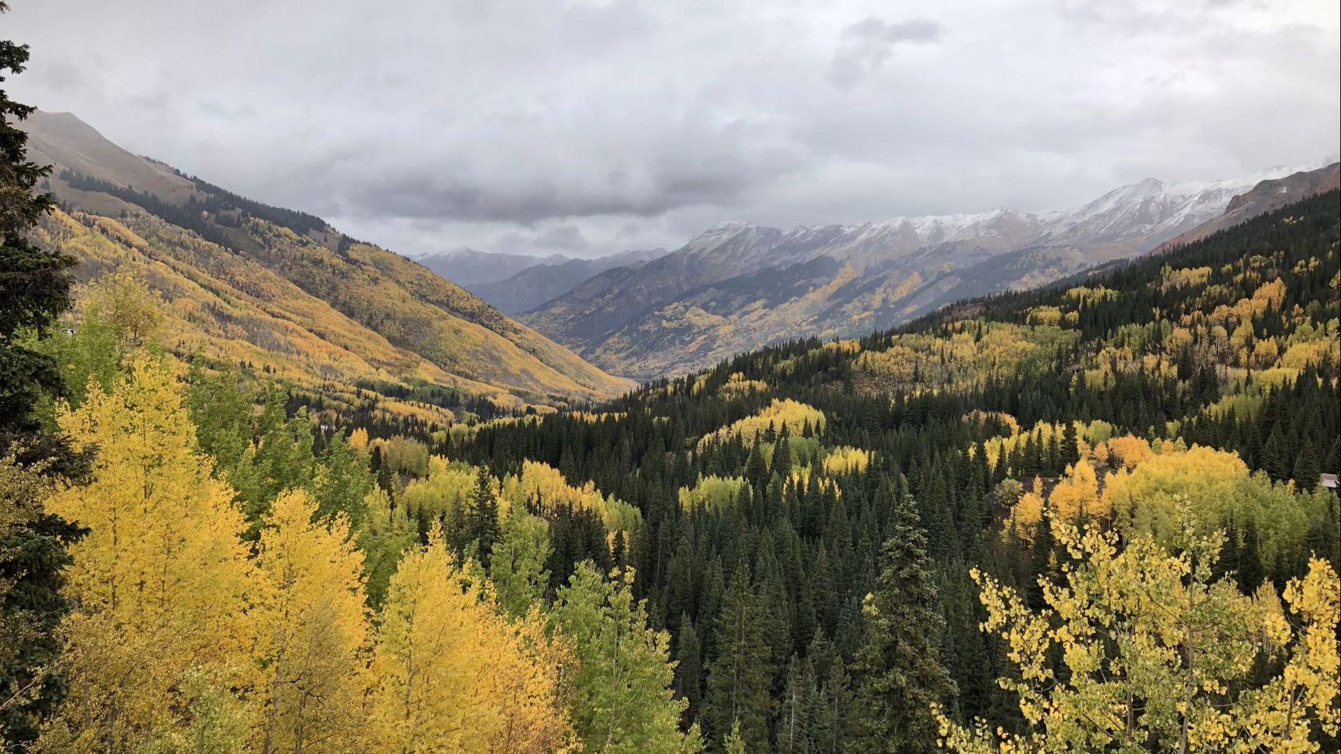 Colorado fall colors guide: When and where leaves peak in 2022 | 9news.com