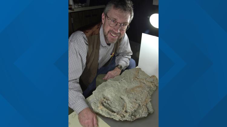 Denver paleontologist discovers bizarre mammal from Mesozoic Era ...