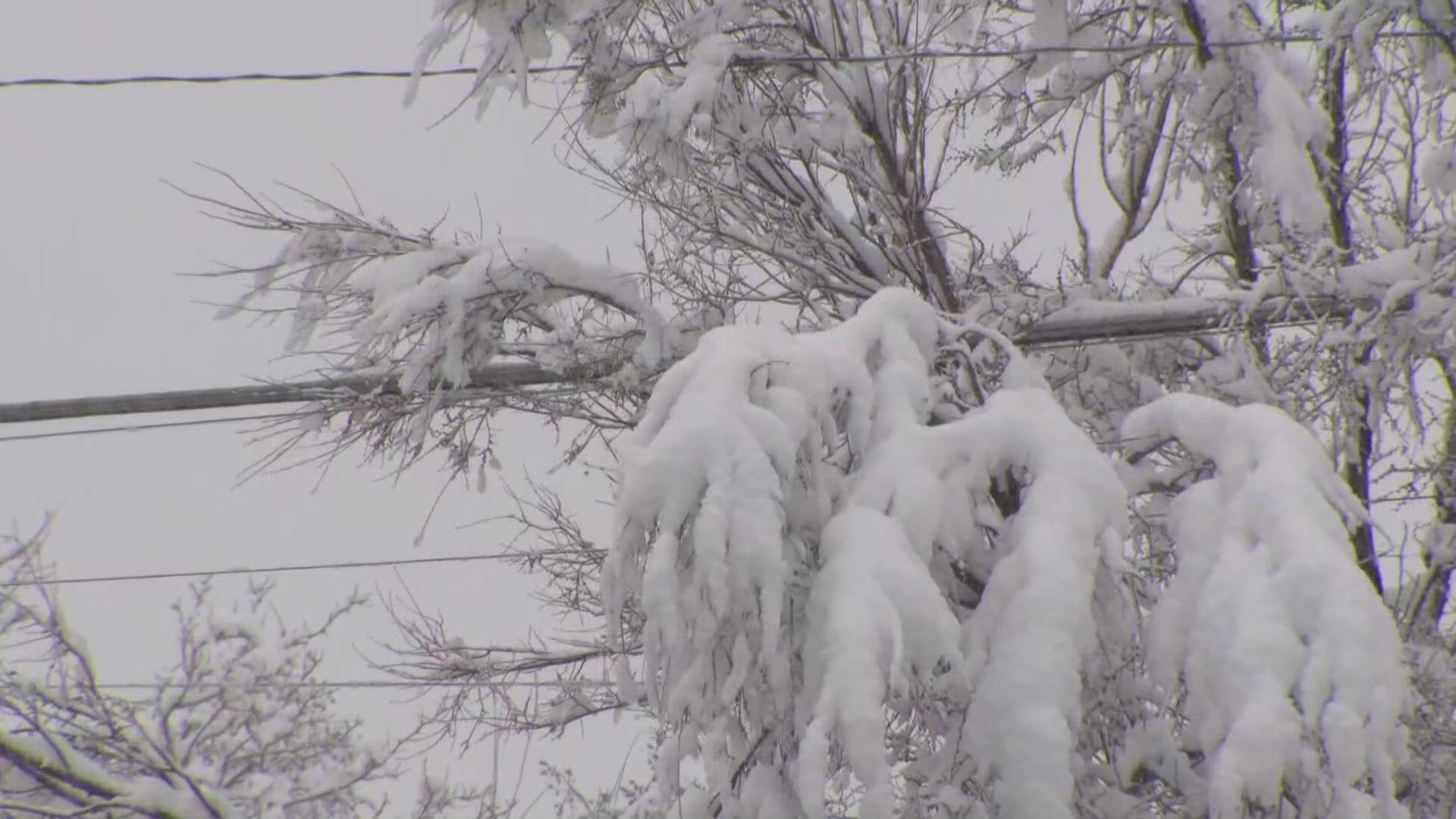 Colorado March snowstorm causes power outages | 9news.com