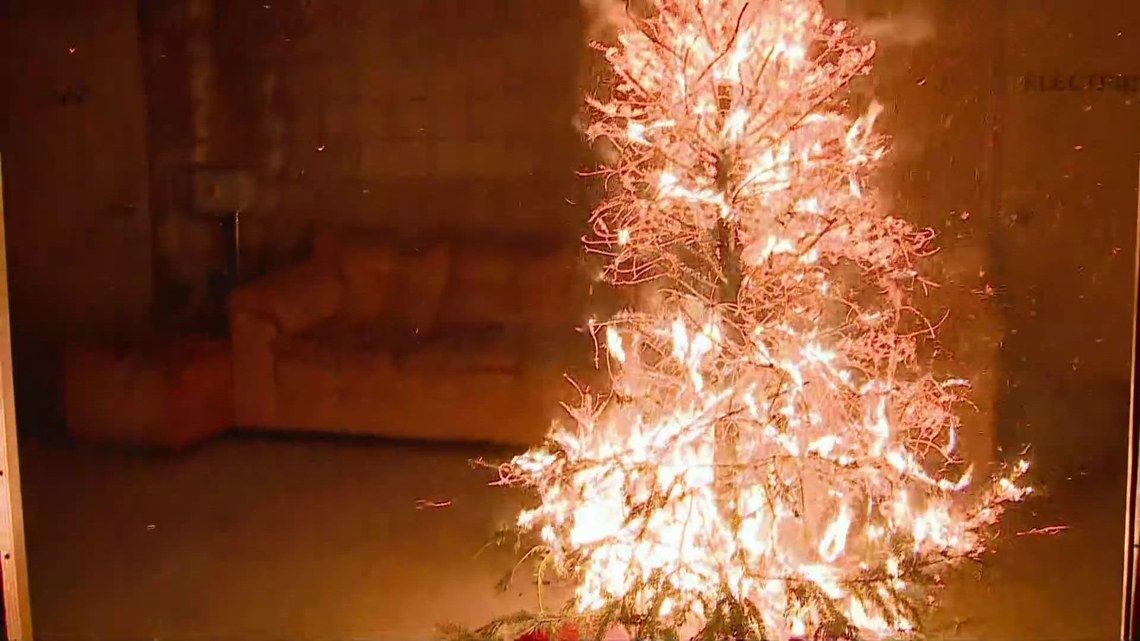 Dried-out Christmas trees pose fire risk | 9news.com