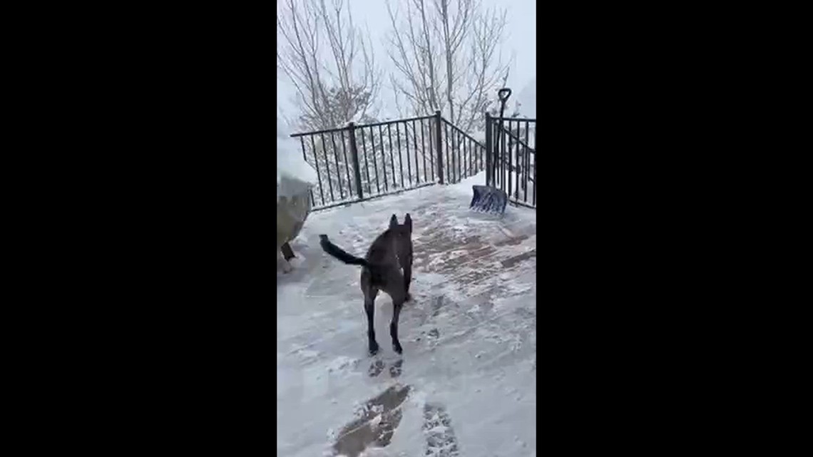 Snow swimming | 9news.com