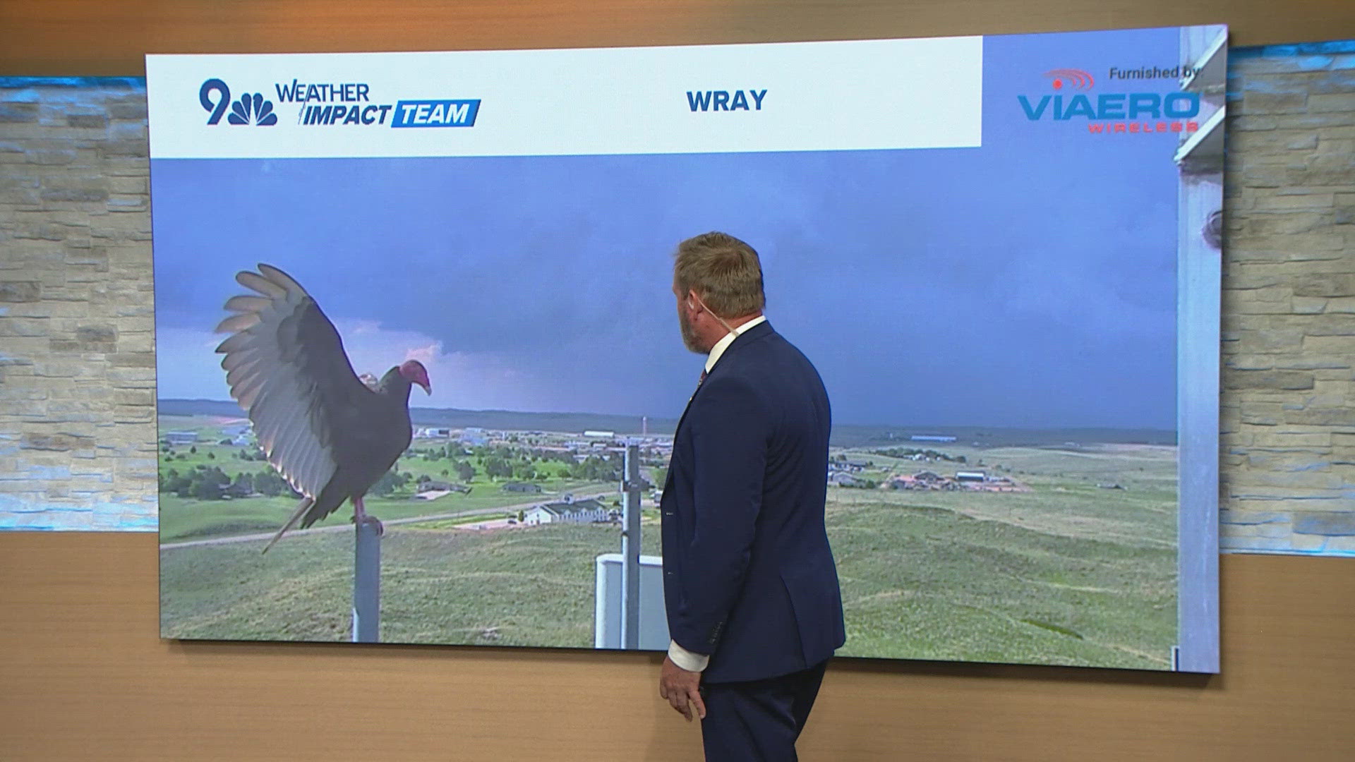 Turkey vulture crashes 9NEWS meteorologist's weather forecast | 9news.com