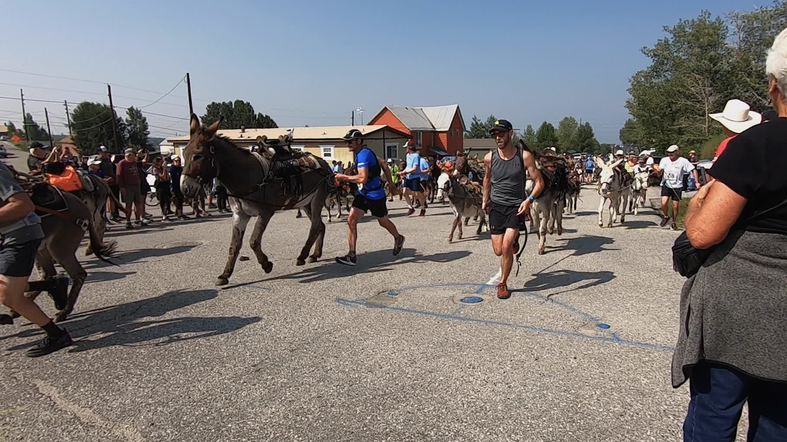 Colorado continues tradition of racing alongside burros | 9news.com