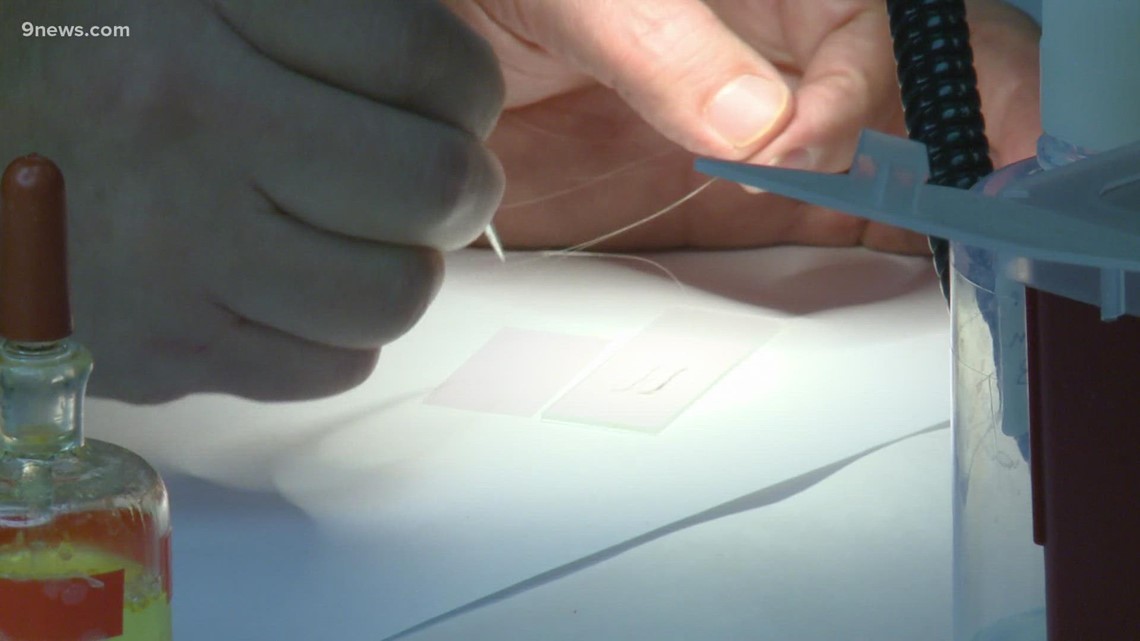 3 men imprisoned for murder in cases with hair evidence among ...