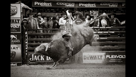 Bull rider dies after being injured during event at National Western ...
