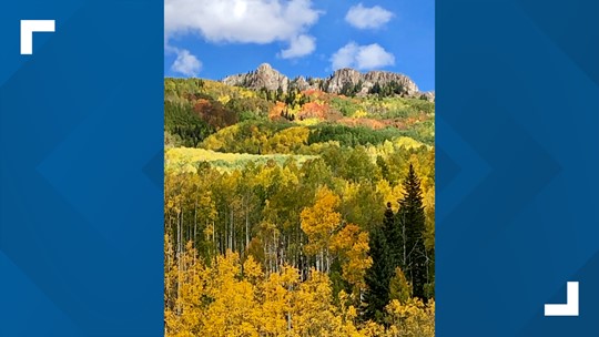 Colorado fall colors: When and where leaves will peak in 2020 | 9news.com