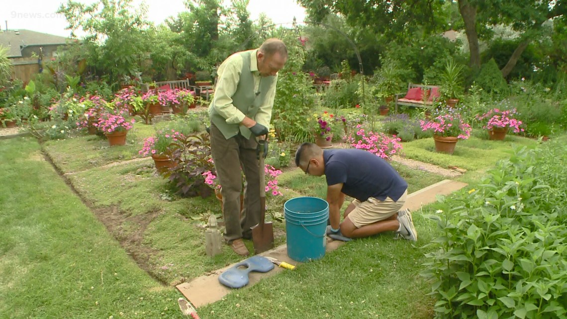 Take a tour through Rob Proctor's garden | 9news.com