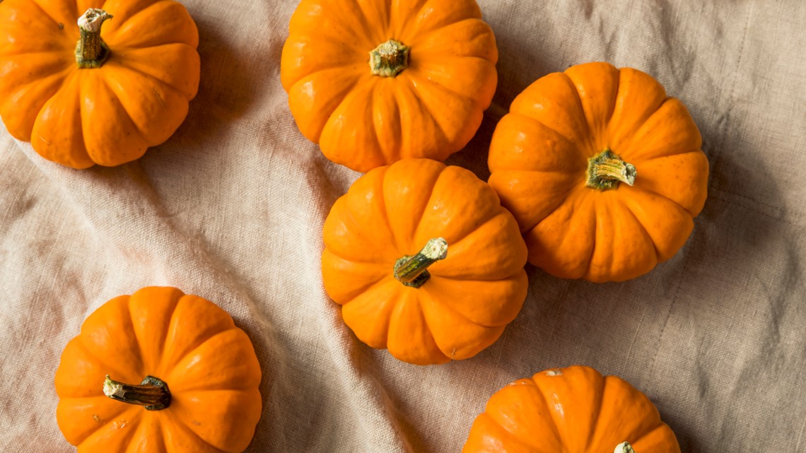 Roasted mini sweet pumpkins recipe; savory pumpkin soup recipe | 9news.com