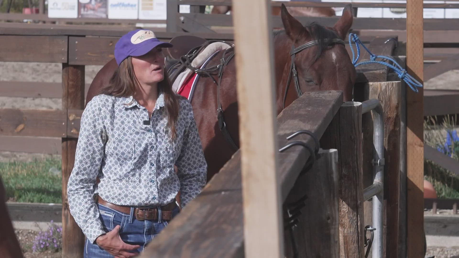 Summit Valley Horse Center thrives in Colorado rescue efforts | 9news.com