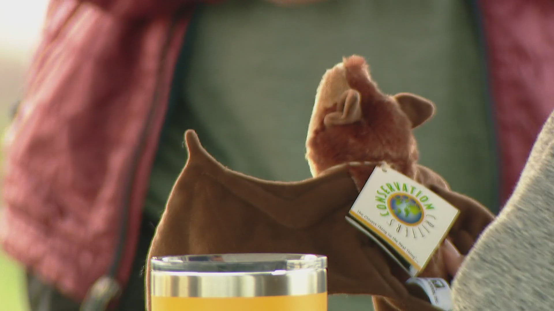 Colorado bats: How to attract them to your yard | 9news.com