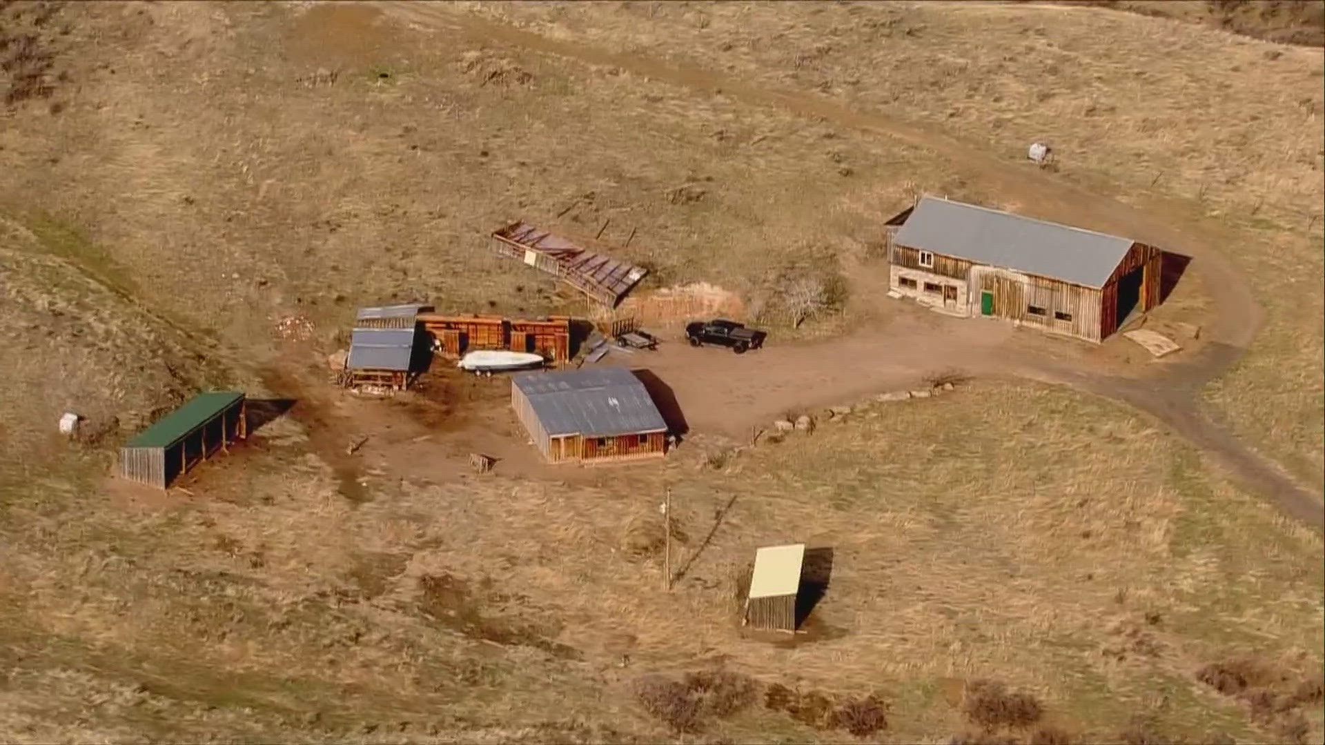 Man accused of shooting neighbors' cattle in Larimer County | 9news.com