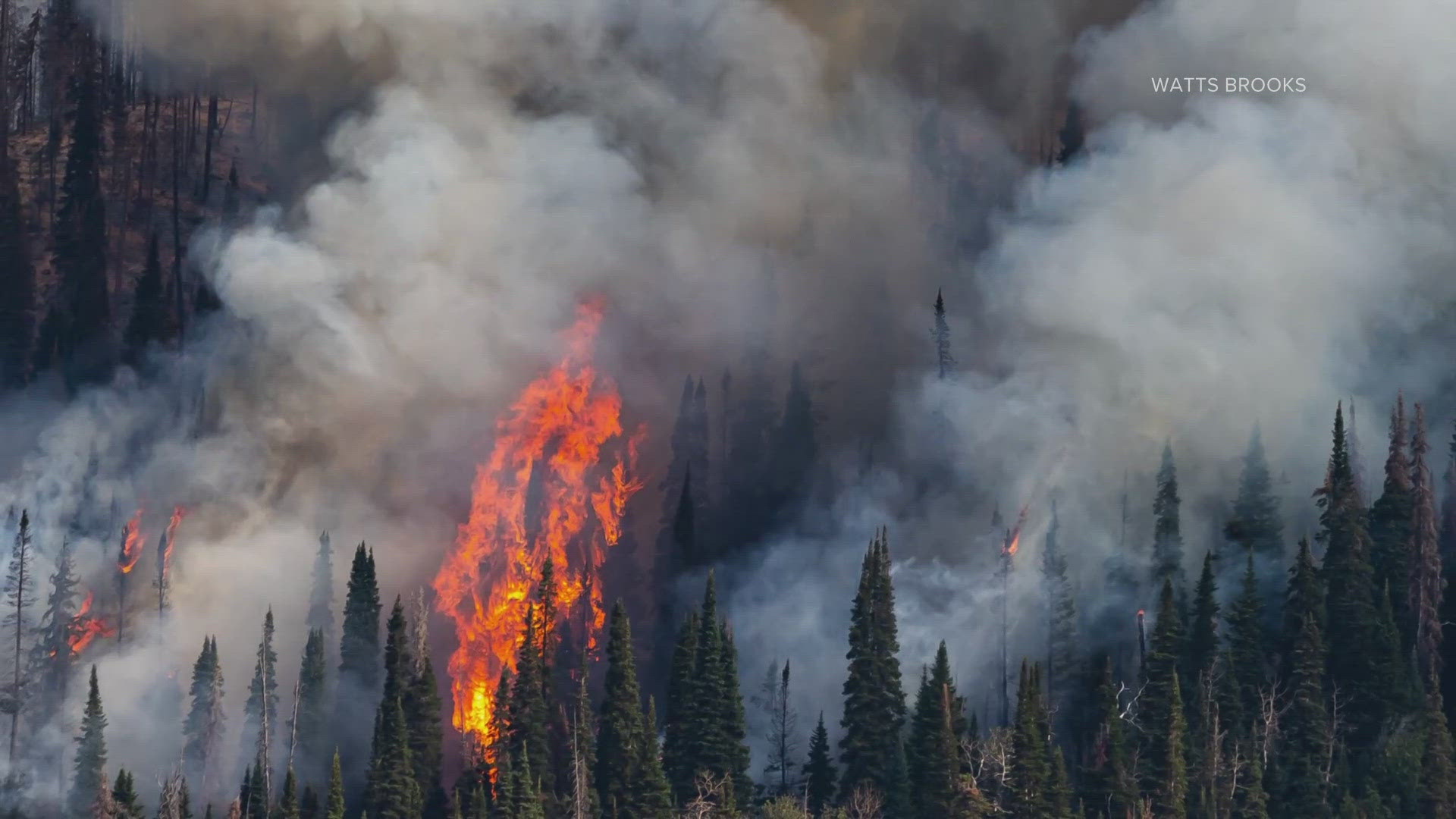 Lee Fire, Crosho Fire burning in northwestern Colorado | 9news.com