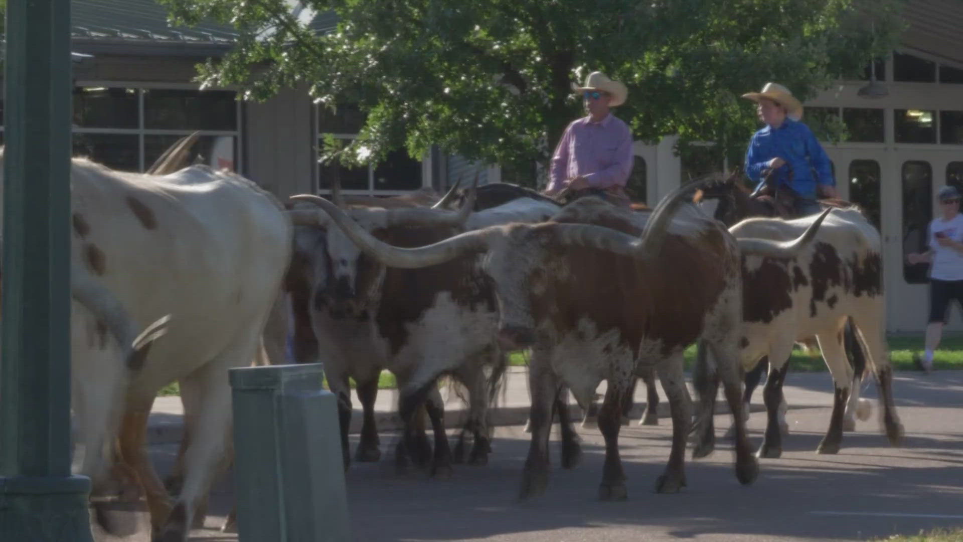 Country Jam Colorado music festival announces 2025 performers | 9news.com