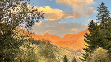 Fall leaves in Colorado: Guide to changing colors in 2024 | 9news.com