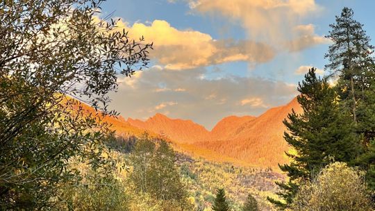 Here are the 9 best drives to see fall colors in Colorado | 9news.com