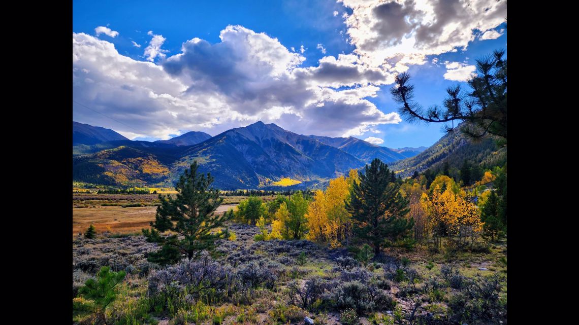 Colorado fall colors guide: When and where leaves peak in 2022 | 9news.com