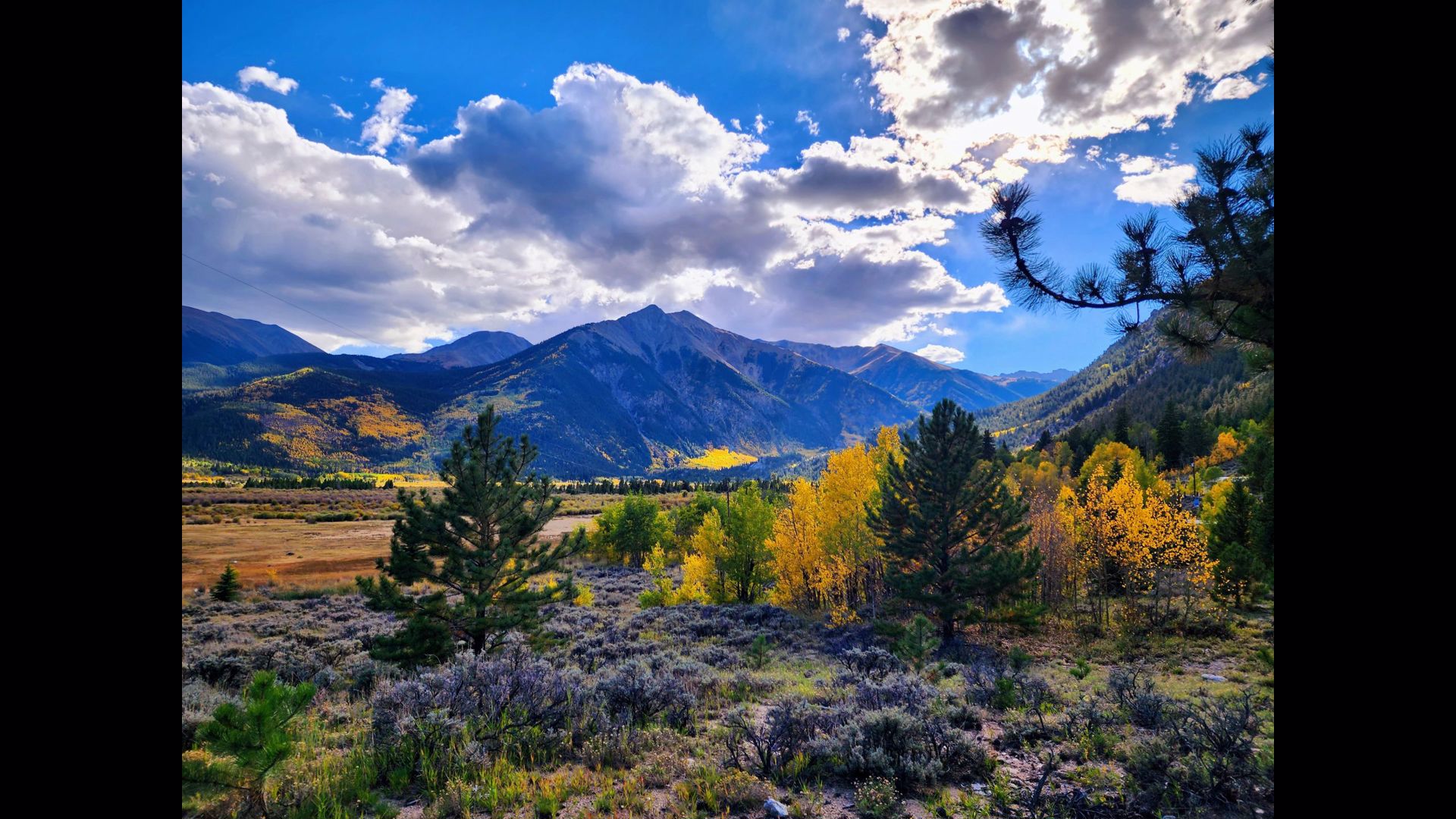 Colorado fall colors guide: When and where leaves peak in 2022 | 9news.com