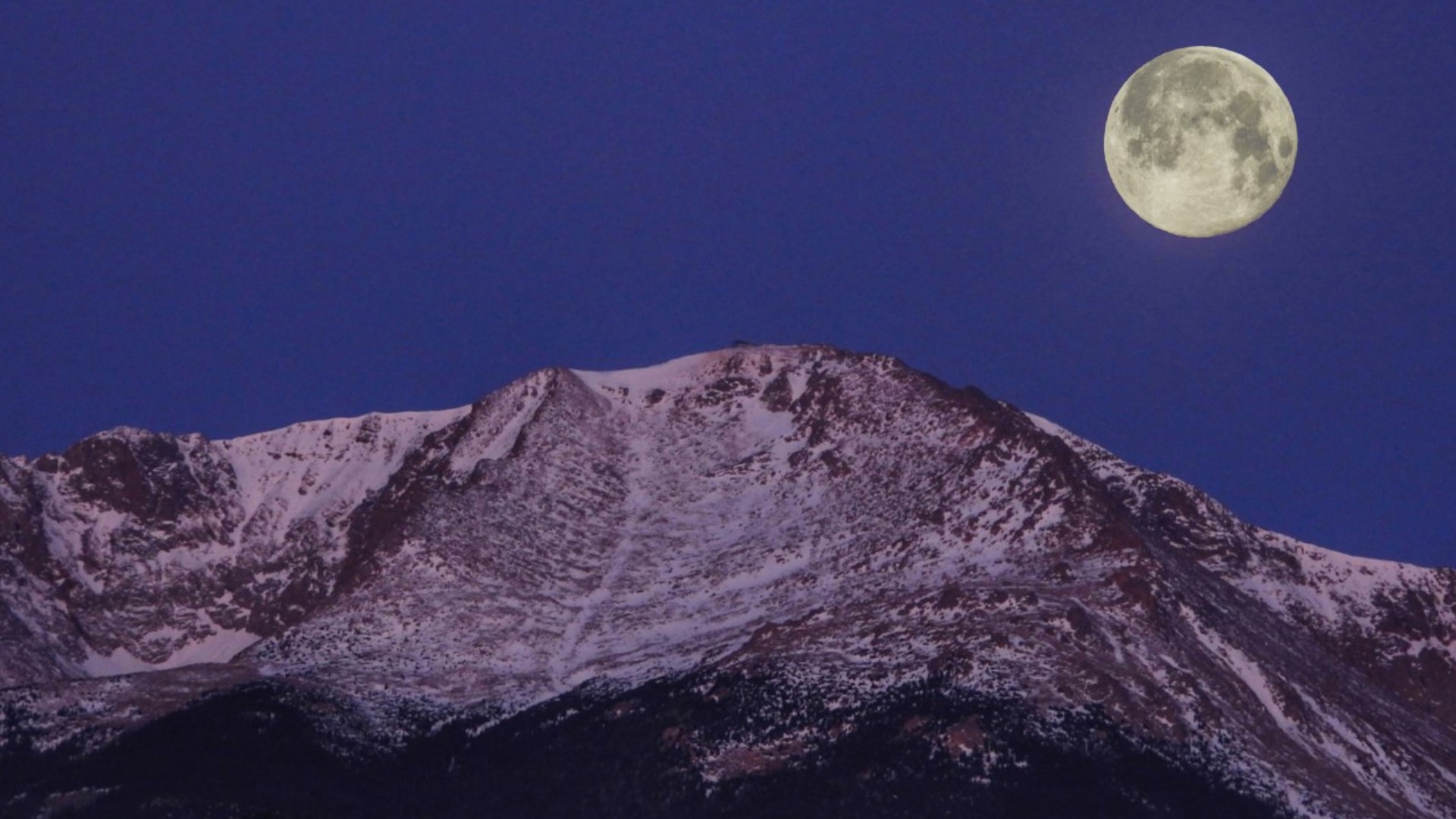 PHOTOS: Viewers share pics of last night's pink supermoon | 9news.com