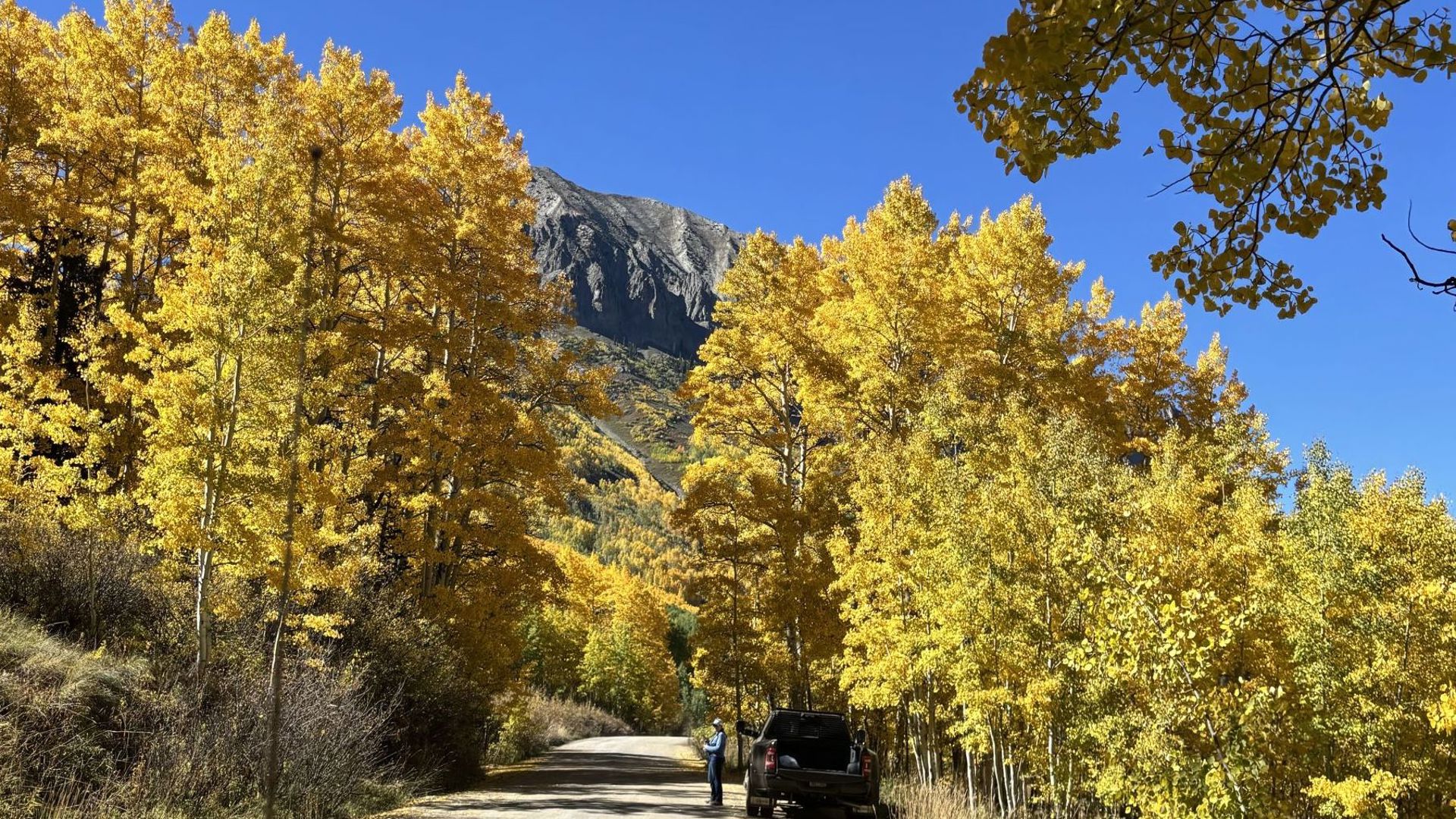 Colorado fall colors: When and where are the best yellow leaves ...