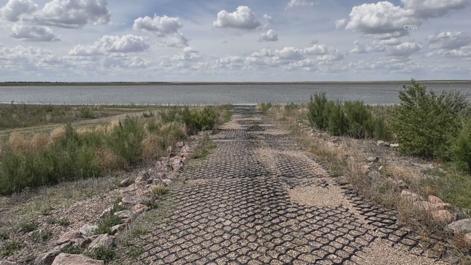 Emergency fish salvage at southeastern Colorado reservoir | 9news.com