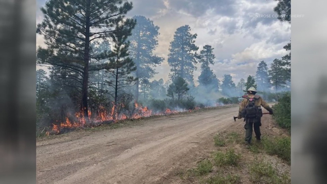 Montrose County man pleads guilty in Bucktail Fire | 9news.com