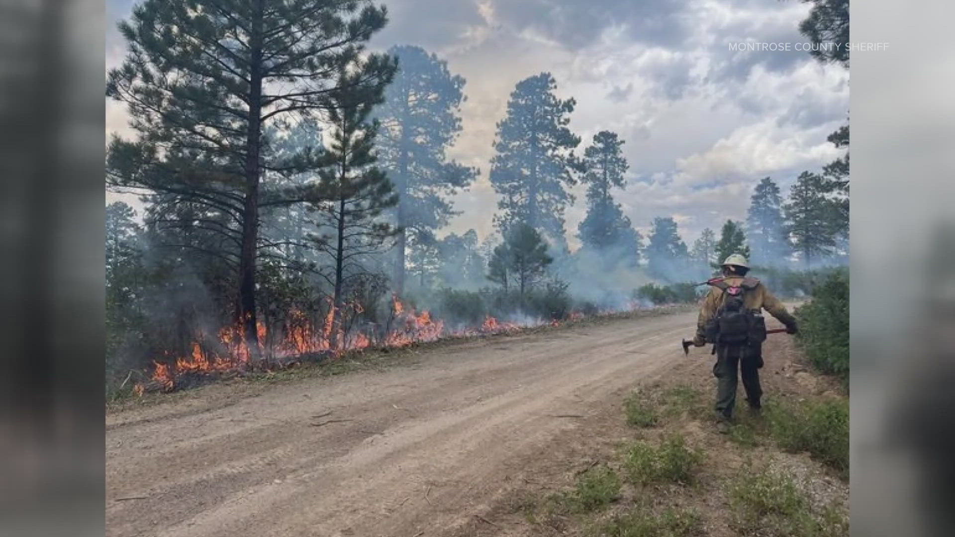 Man arrested after climbing on roof with gun, deputies say | 9news.com