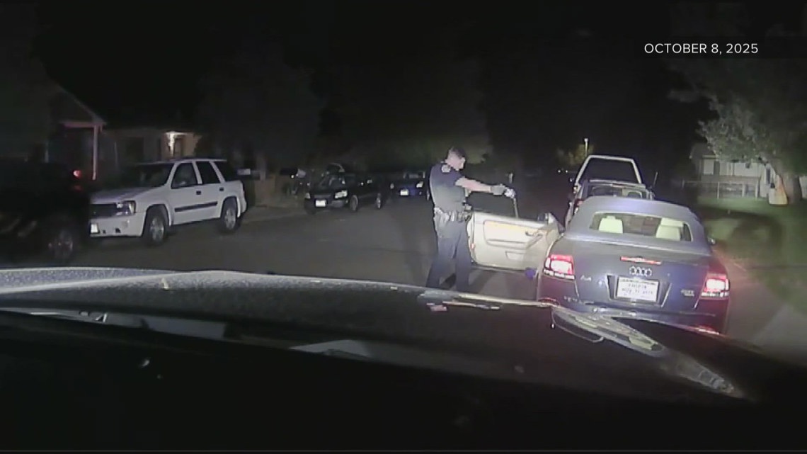 Man who was Tased, put in neck hold after traffic stop said he feared ...