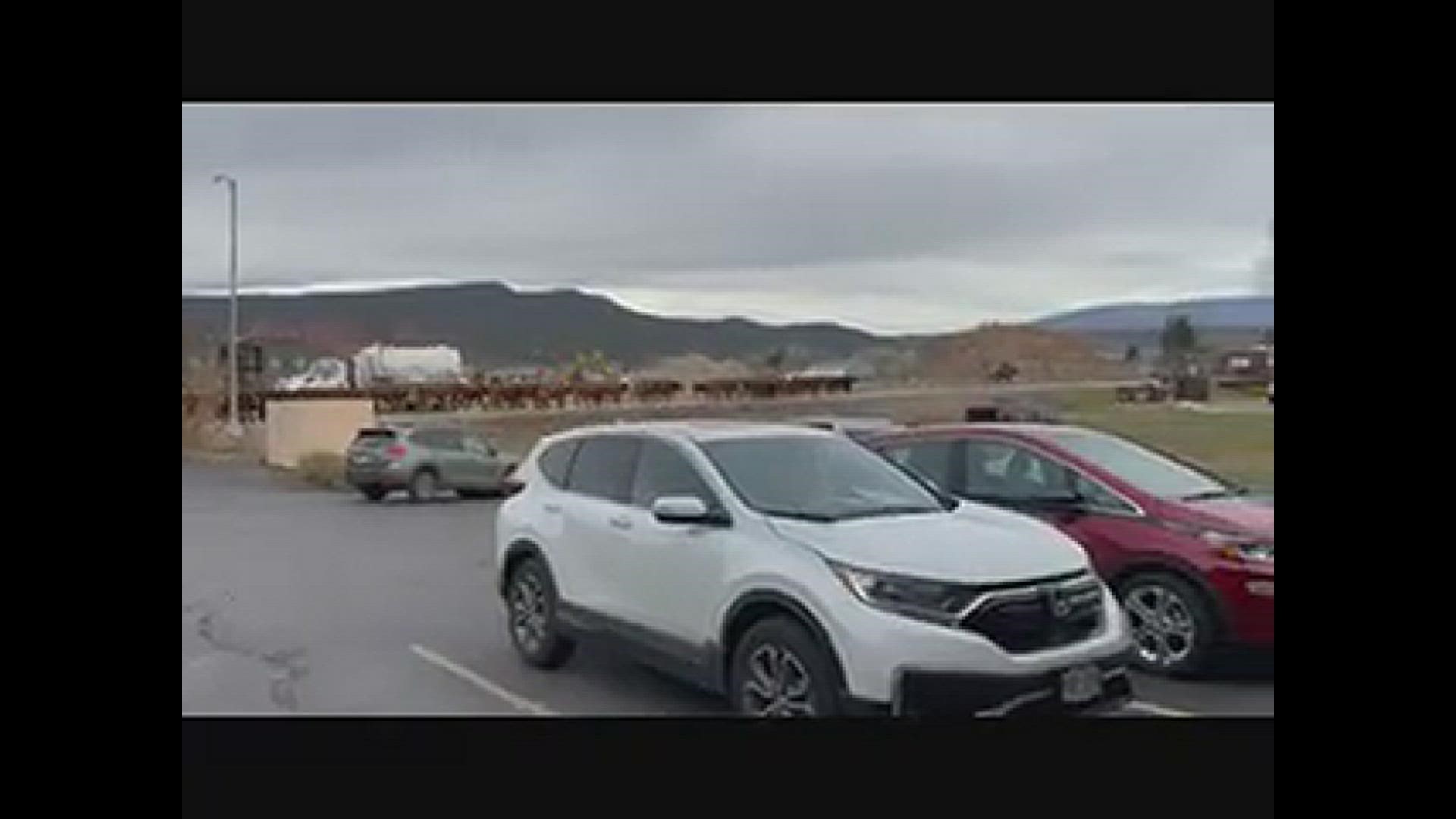 Kyle Here is a Colorado moment, a cattle drive going through Carbondale ...
