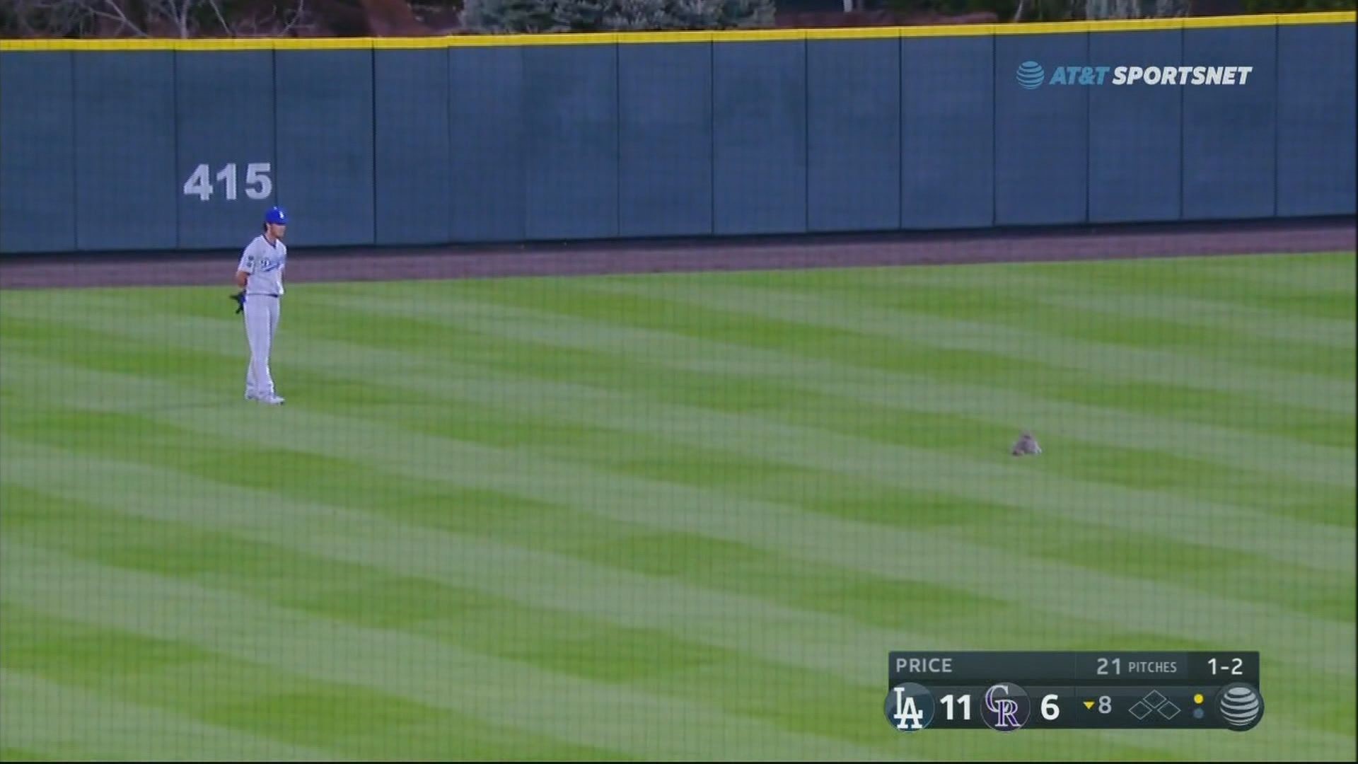 Cat runs onto Coors Field at Rockies game | 9news.com