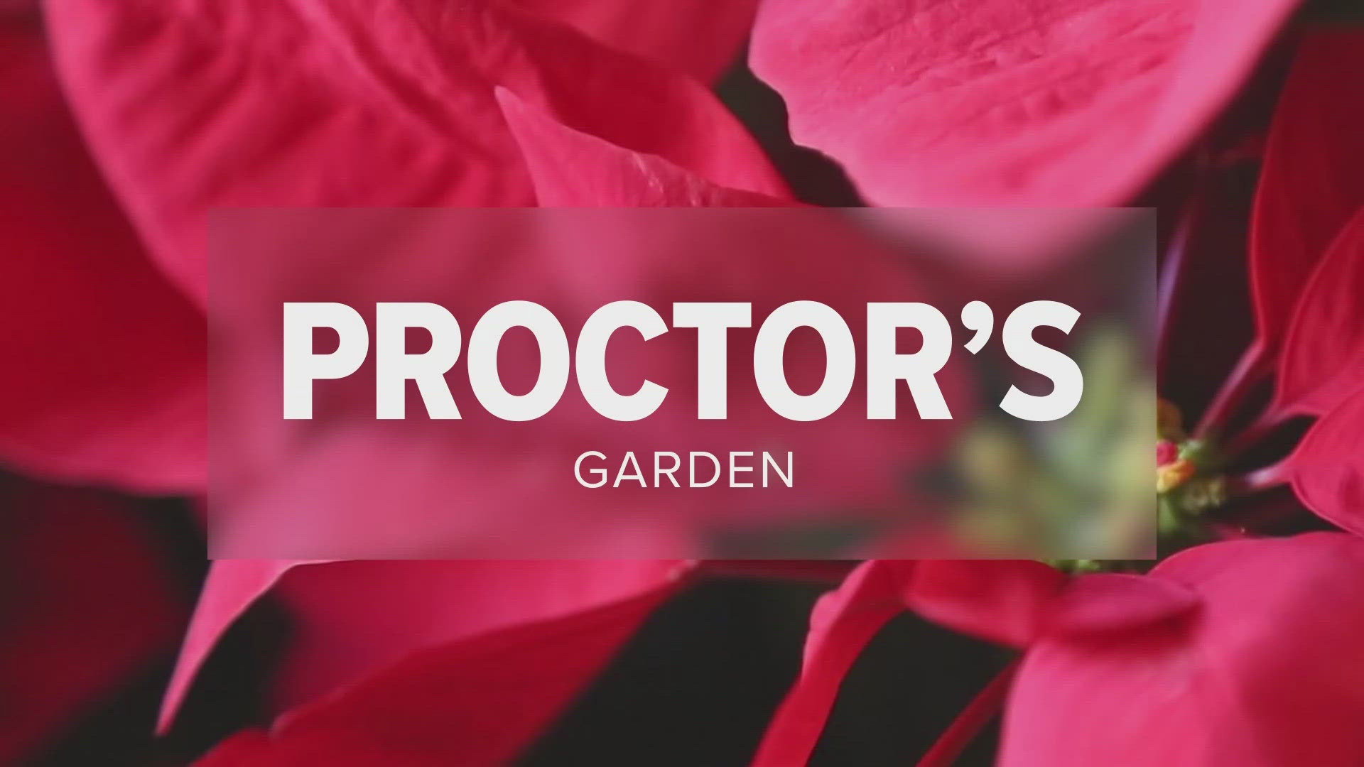 Proctor's Garden: Good gifts for gardeners | 9news.com