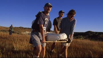 Denver paleontologist discovers bizarre mammal from Mesozoic Era ...