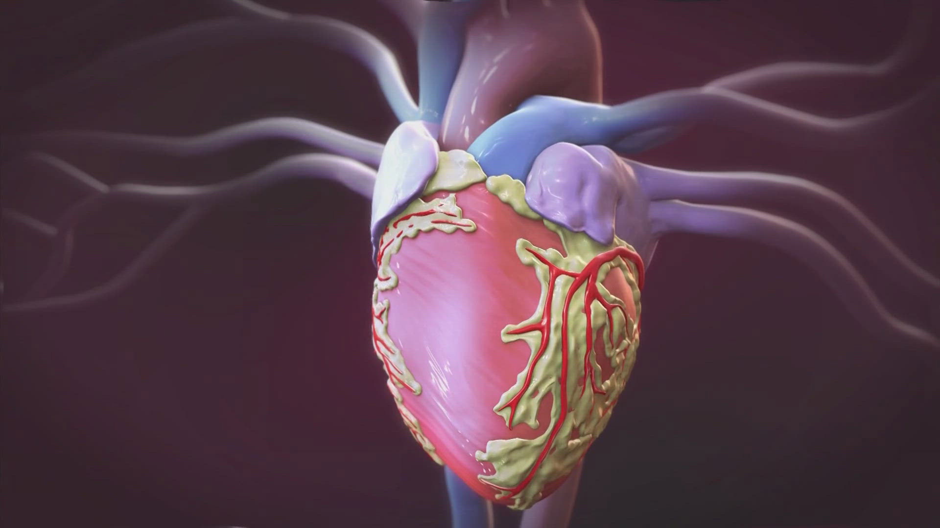 Heart Attack Drug May Increase The Death Risk For Women 9news