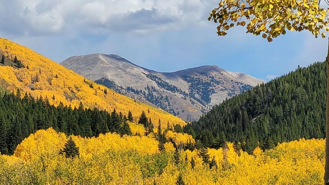Colorado fall colors: When and where are the best yellow leaves ...