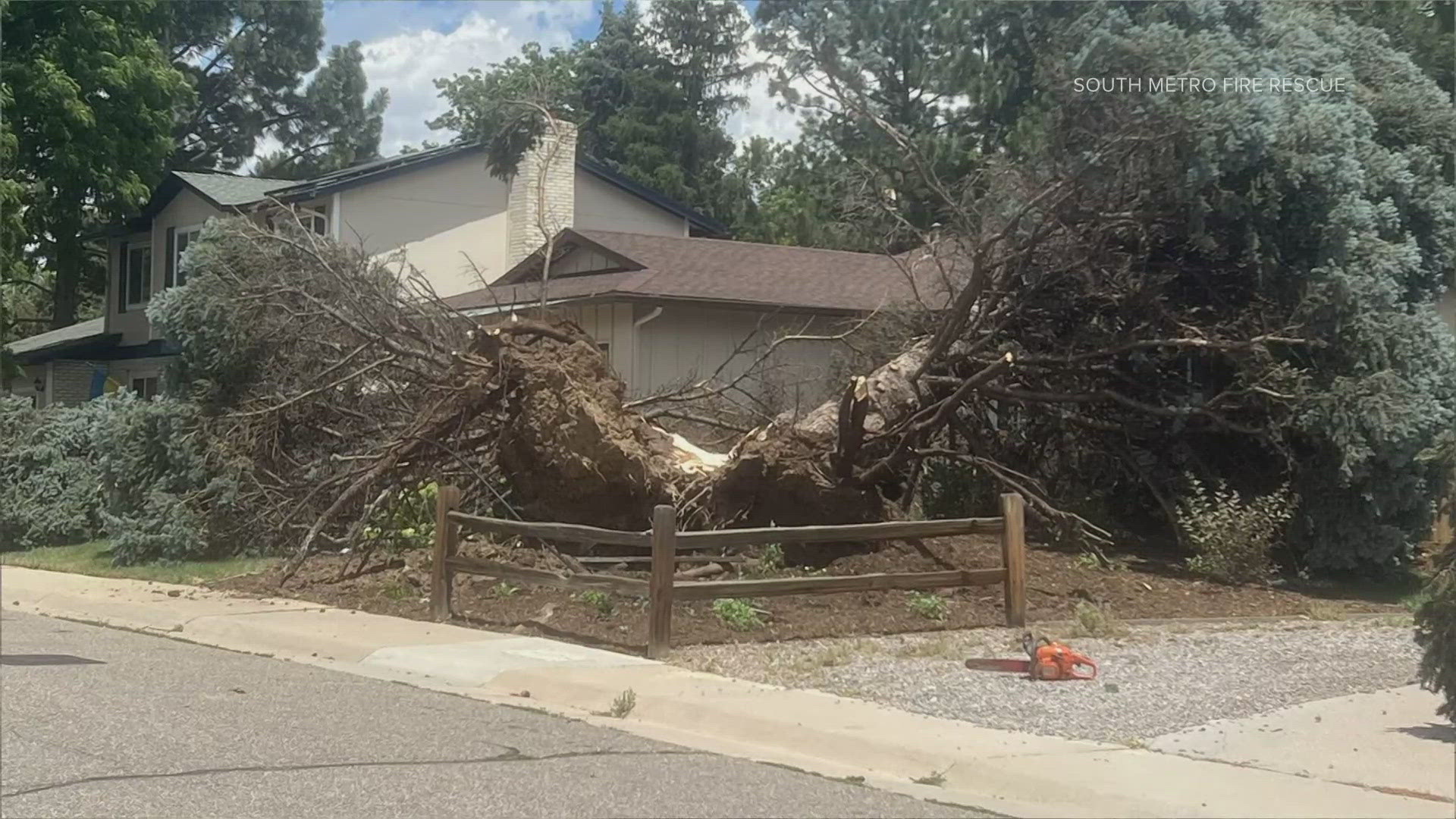 Strong wind gust downs trees in Centennial | 9news.com
