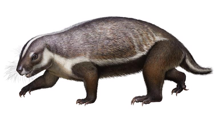 Denver paleontologist discovers bizarre mammal from Mesozoic Era ...