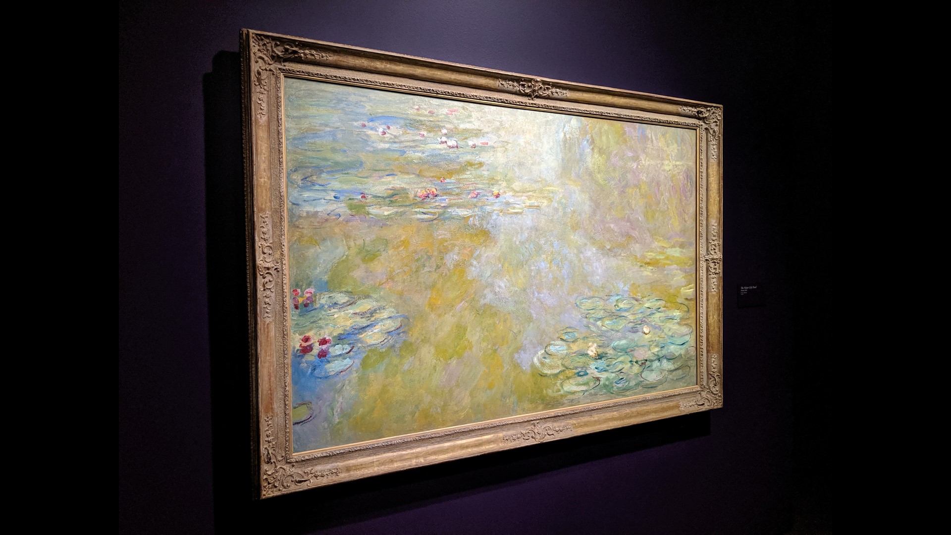 Almost 395,000 people went to see the Monet exhibit in Denver | 9news.com
