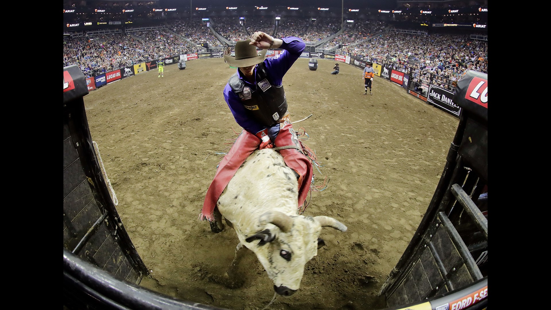 Bull rider dies after being injured during event at National Western ...